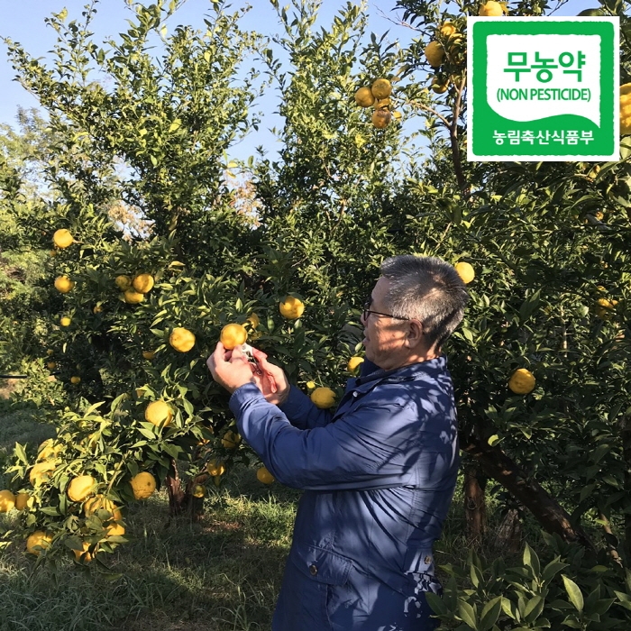 [무료배송] 전남 고흥 무농약 유자청 유자차 세트 1kg 2병 유기농설탕 티몬